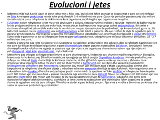 EVOLUCIONI NJEREZOR (biologji 10 ) | PPT