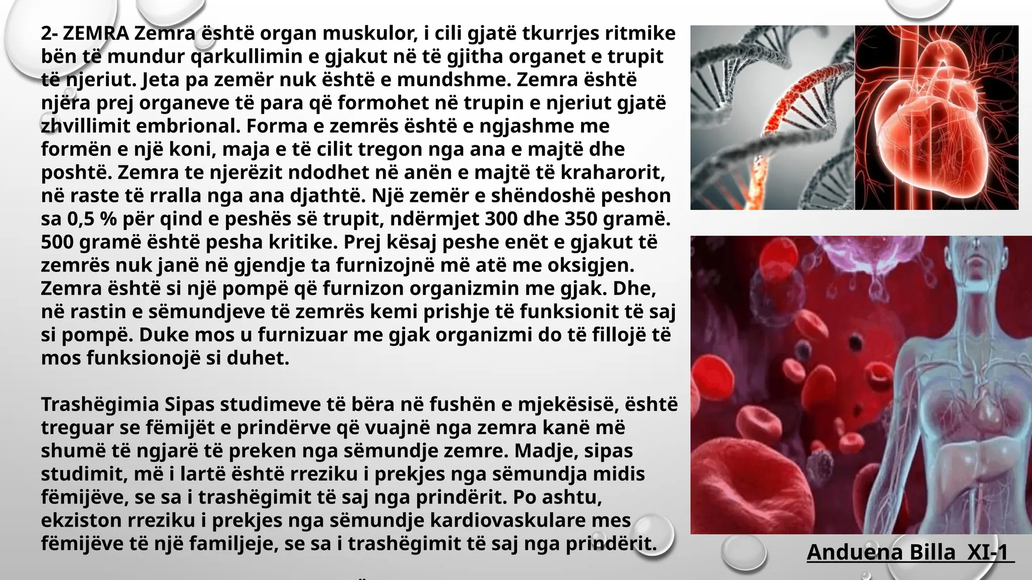 Biologji dt trem2 11¹.pptxtttttttttttttt | PPTX