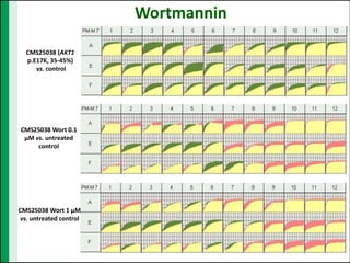 Metabolic investigation of segmental overgrowth: new insights in ...