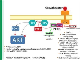 Metabolic investigation of segmental overgrowth: new insights in ...