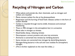 GCSE Biology Revision | PPT
