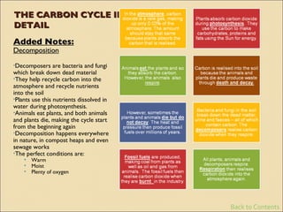 GCSE Biology Revision | PPT
