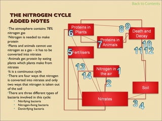 GCSE Biology Revision | PPT
