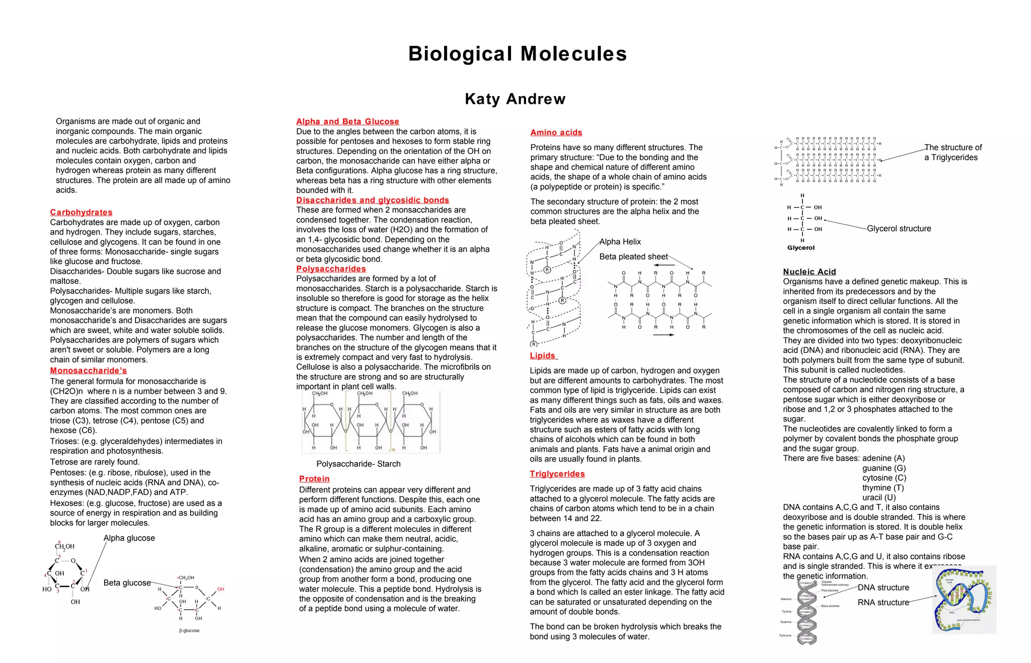 Biological molecules | PPT