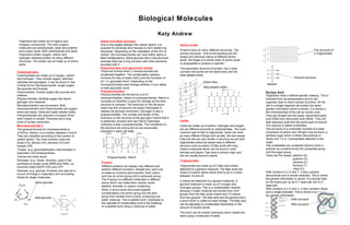 Biological molecules | PPT