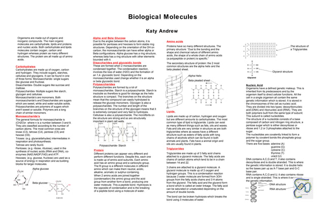 Biological molecules | PPT