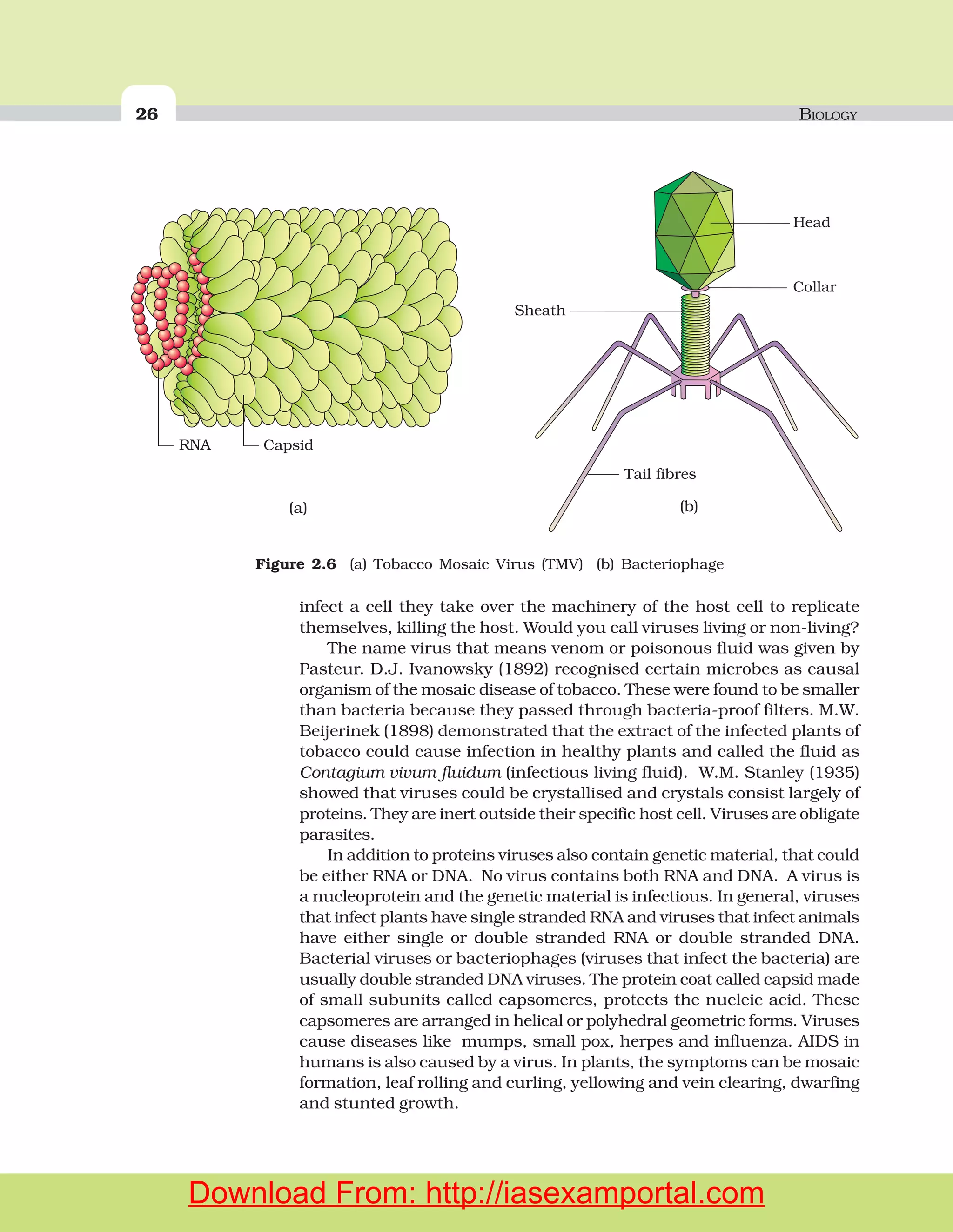 Biology 11th-ncert | PDF