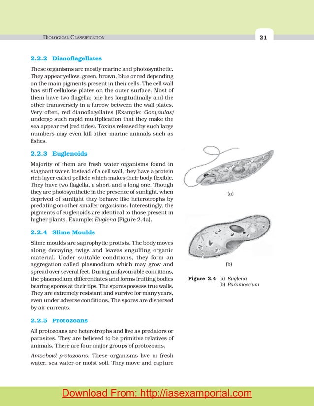 Biology 11th-ncert | PDF | Biological Sciences | Science