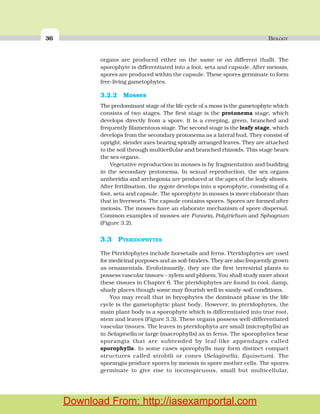 Biology 11th-ncert | PDF