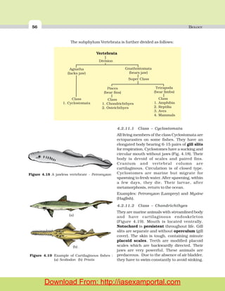 Biology 11th-ncert | PDF