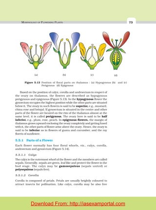 Biology 11th-ncert | PDF