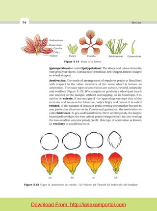Biology 11th-ncert | PDF