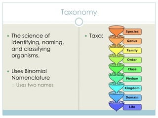 Biology as the Study of Life | PPTX