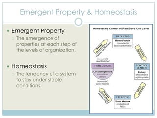Biology as the Study of Life | PPTX