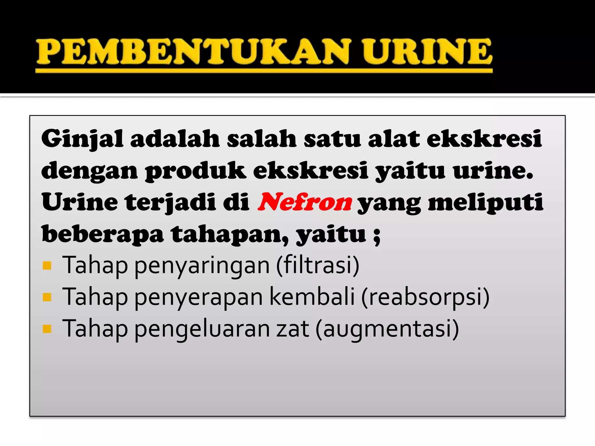 Biology (tahapan pembentukan urine) | PPTX