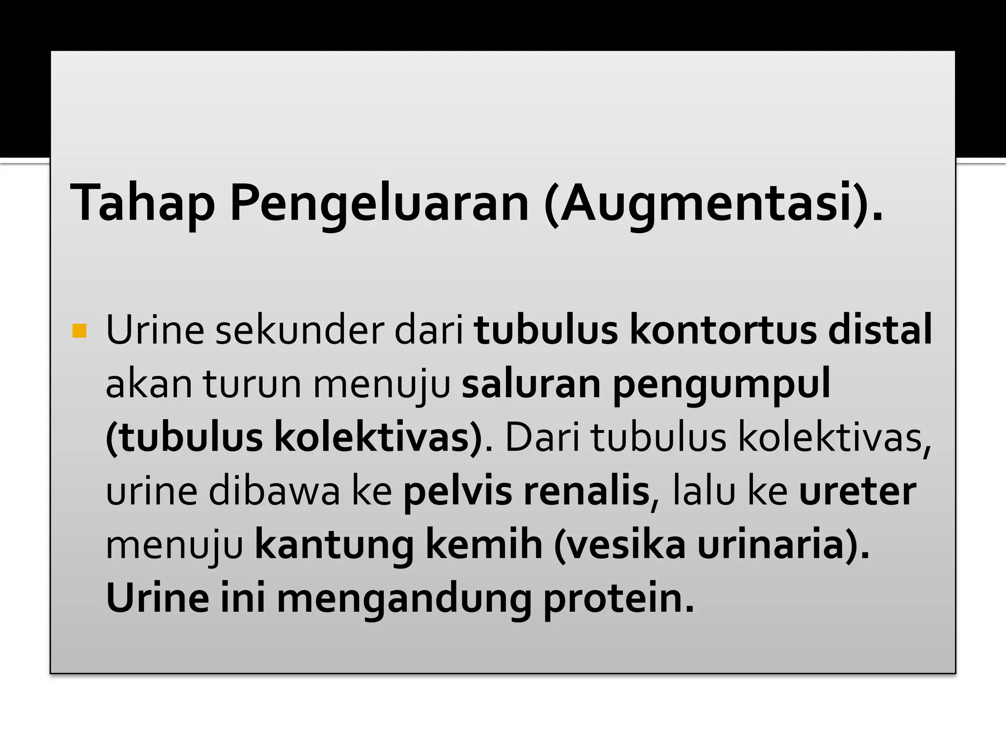 Biology (tahapan pembentukan urine) | PPTX