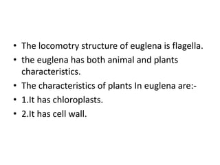 Biology | PPTX