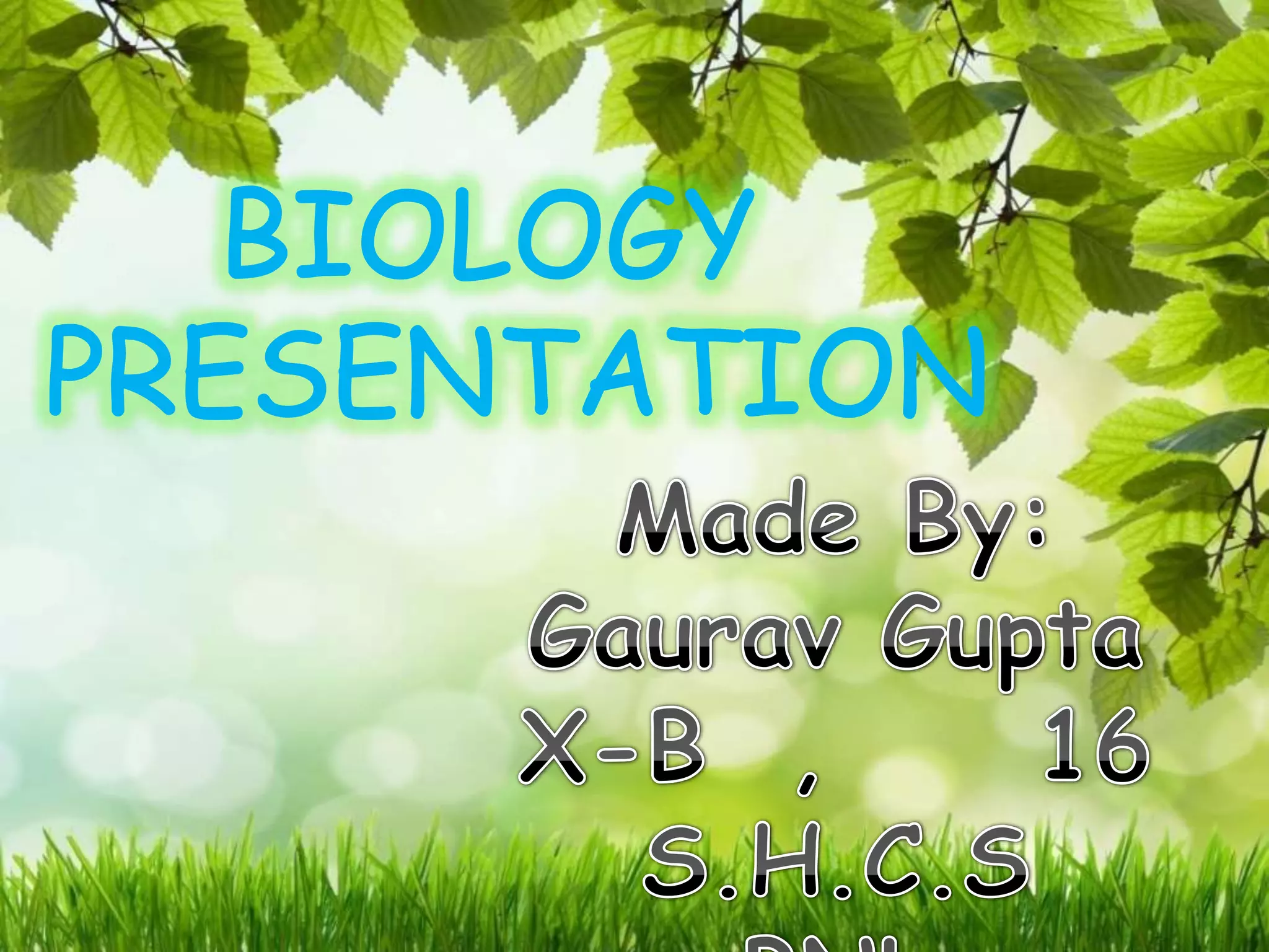 Biology-Excretory System | PPT