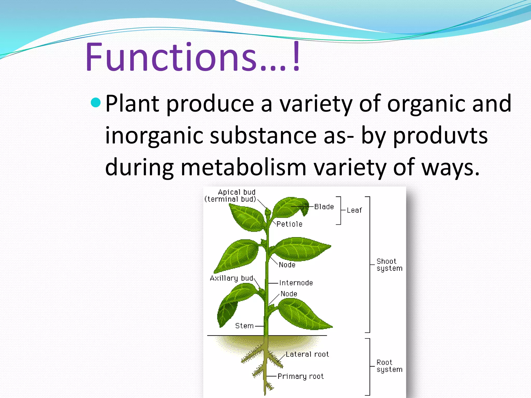 Biology-Excretory System | PPT