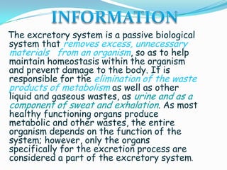 Biology-Excretory System | PPT