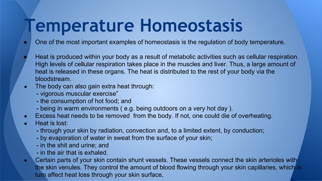 Biology PPT Homeostasis | PDF | Endocrine and Metabolic Diseases ...