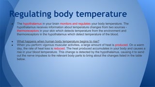 Biology PPT Homeostasis | PDF