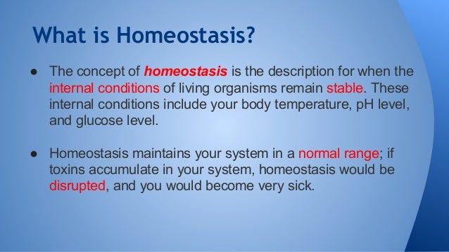 Biology PPT Homeostasis