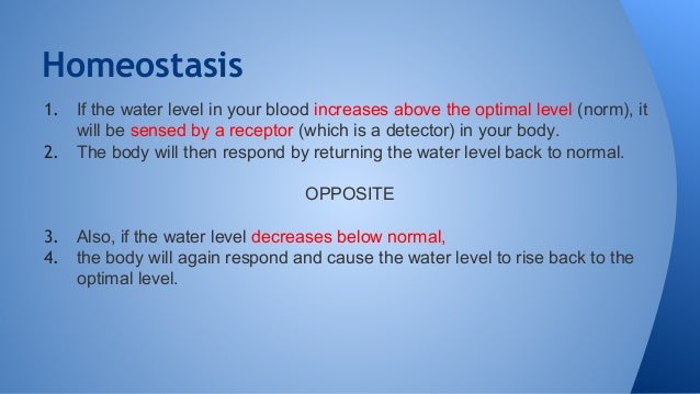 What Is Homeostasis Meaning Definition And Examples
