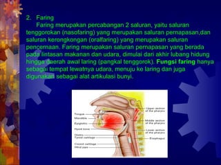 Sistem Respirasi - Dhea Budiman | PPT