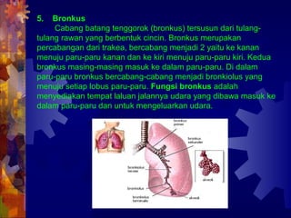 Sistem Respirasi - Dhea Budiman | PPT