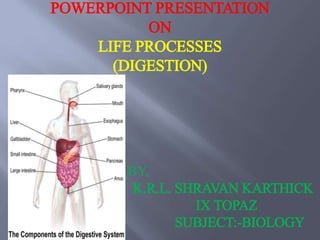 Ingestion Process Life