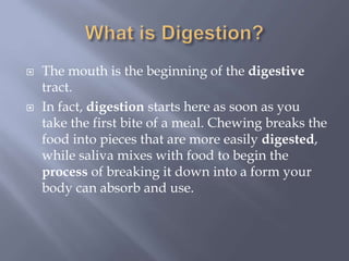 digestion process | PPTX