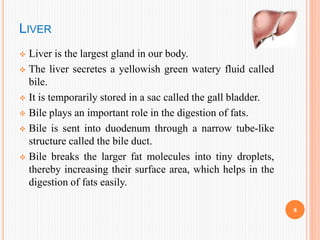 Biology.sumepro | PPTX