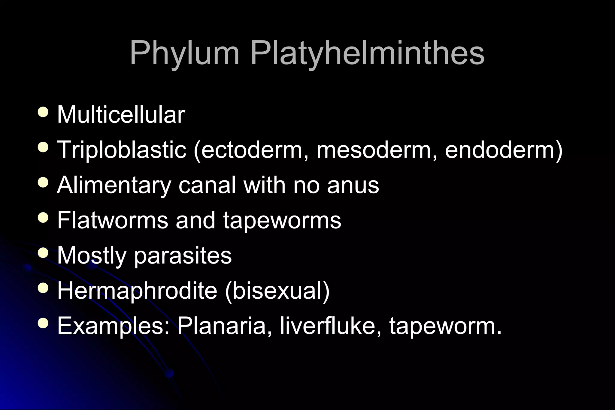 Invertebrates | PPT