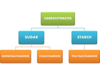 CARBOHYDRATES | PPTX