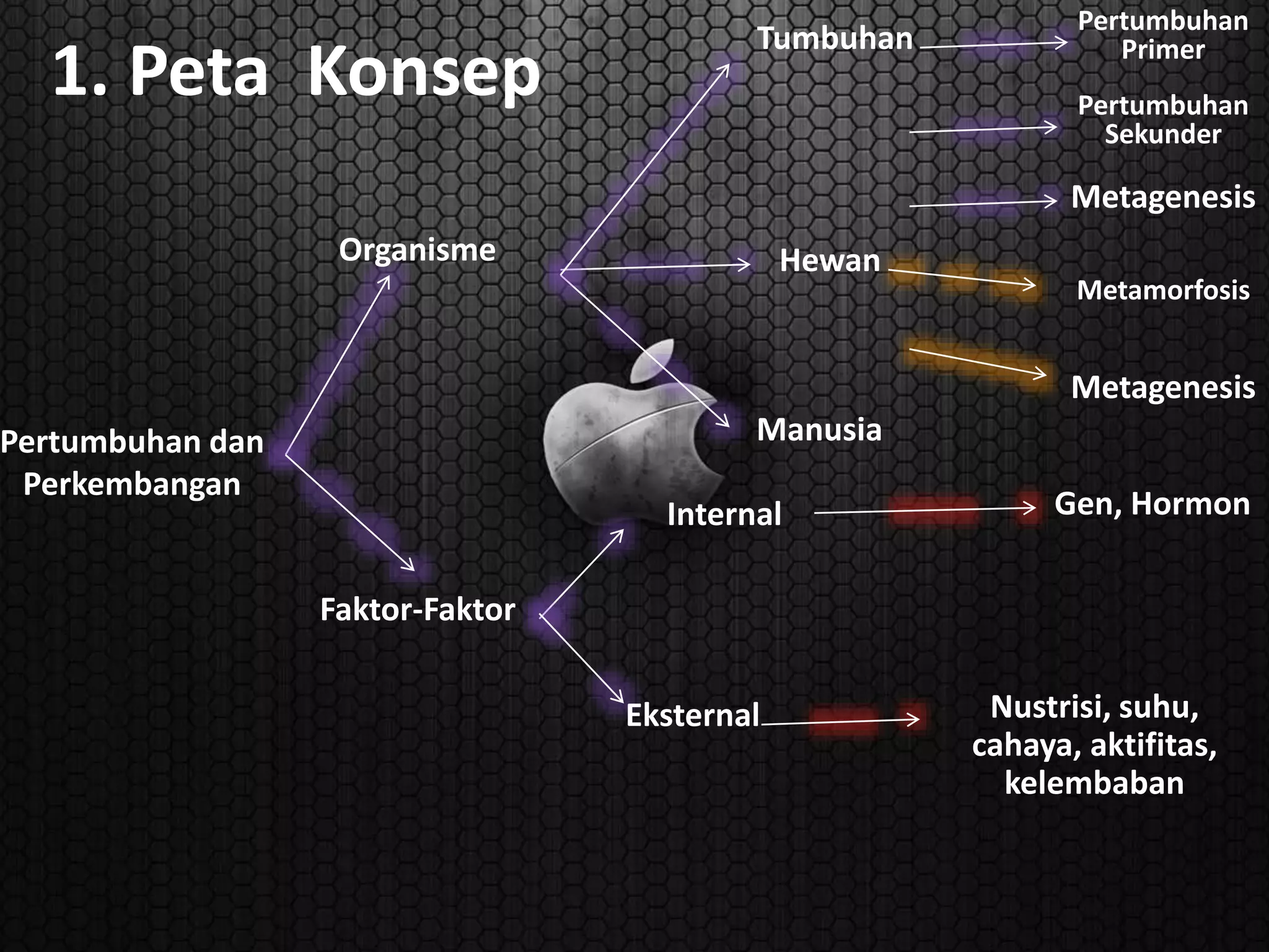 Pertumbuhan dan Perkembangan SMP | PPTX