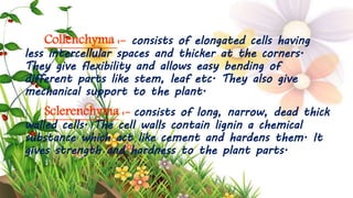 Biology class 9 | PPT