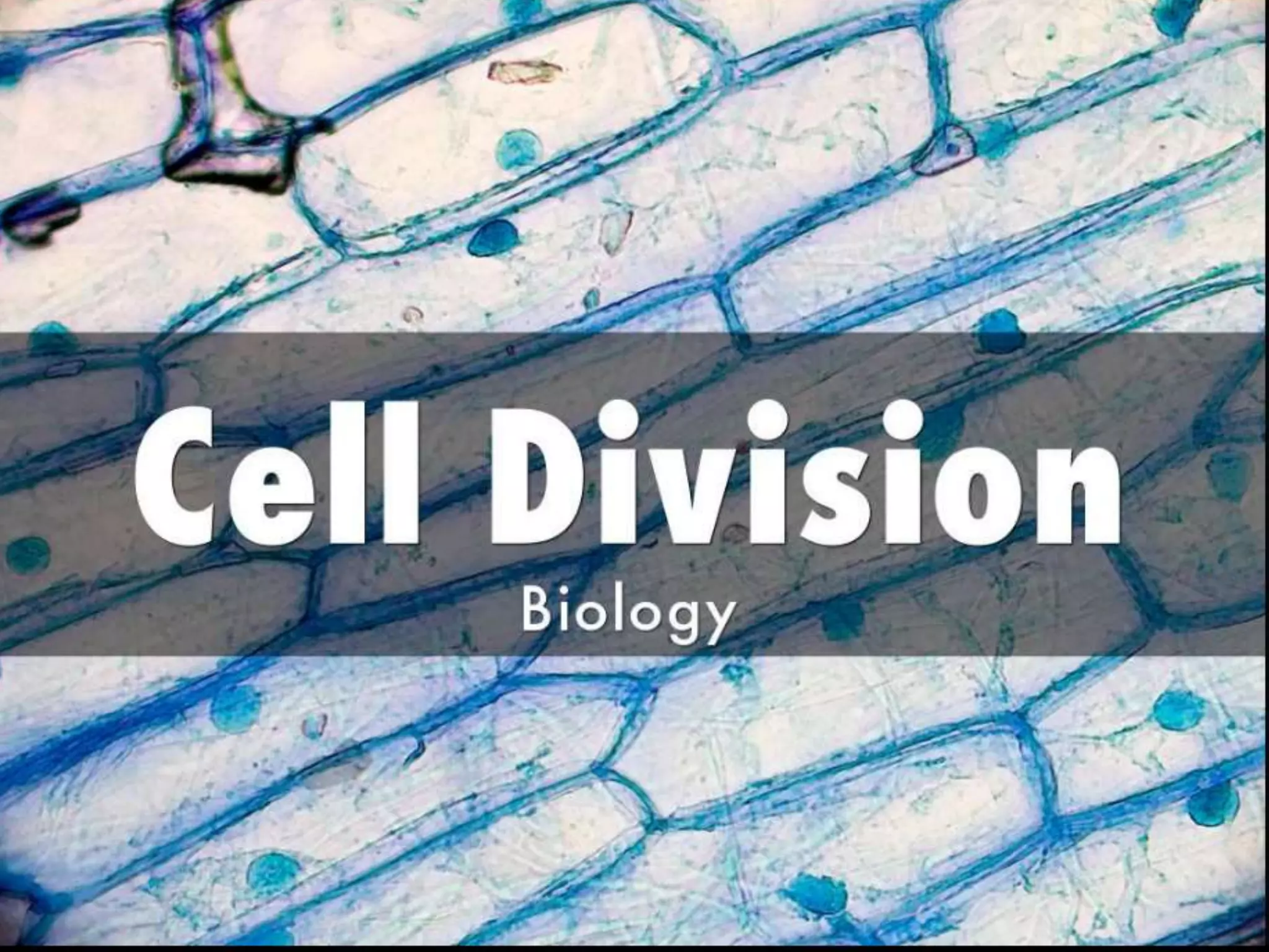 Cell Division (Biology Senior High School) | PPTX