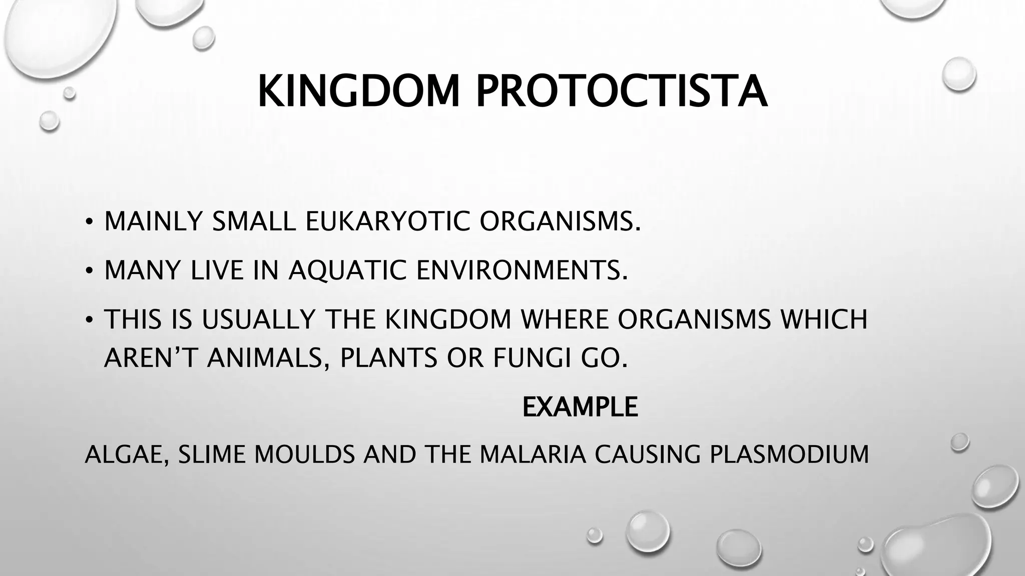 Five kingdom Classification system | PPT