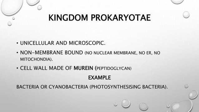 Five Kingdom Classification System Ppt 6601