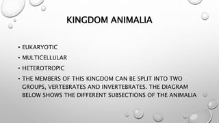 Five kingdom Classification system | PPT
