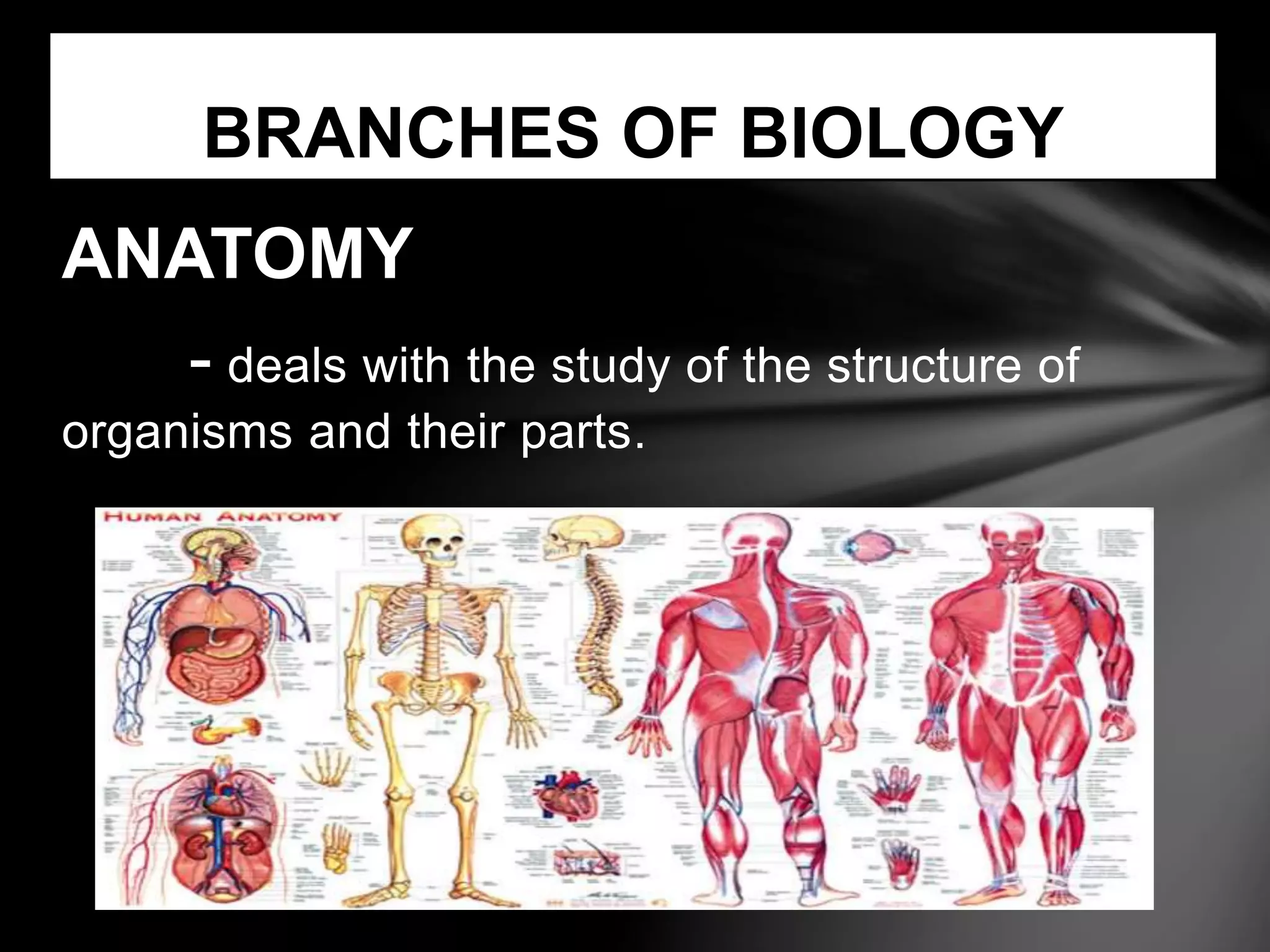 Introduction to biology | PPTX