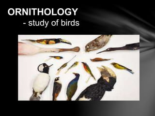 Introduction to biology | PPTX