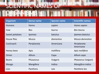 BIOLOGY.pptx