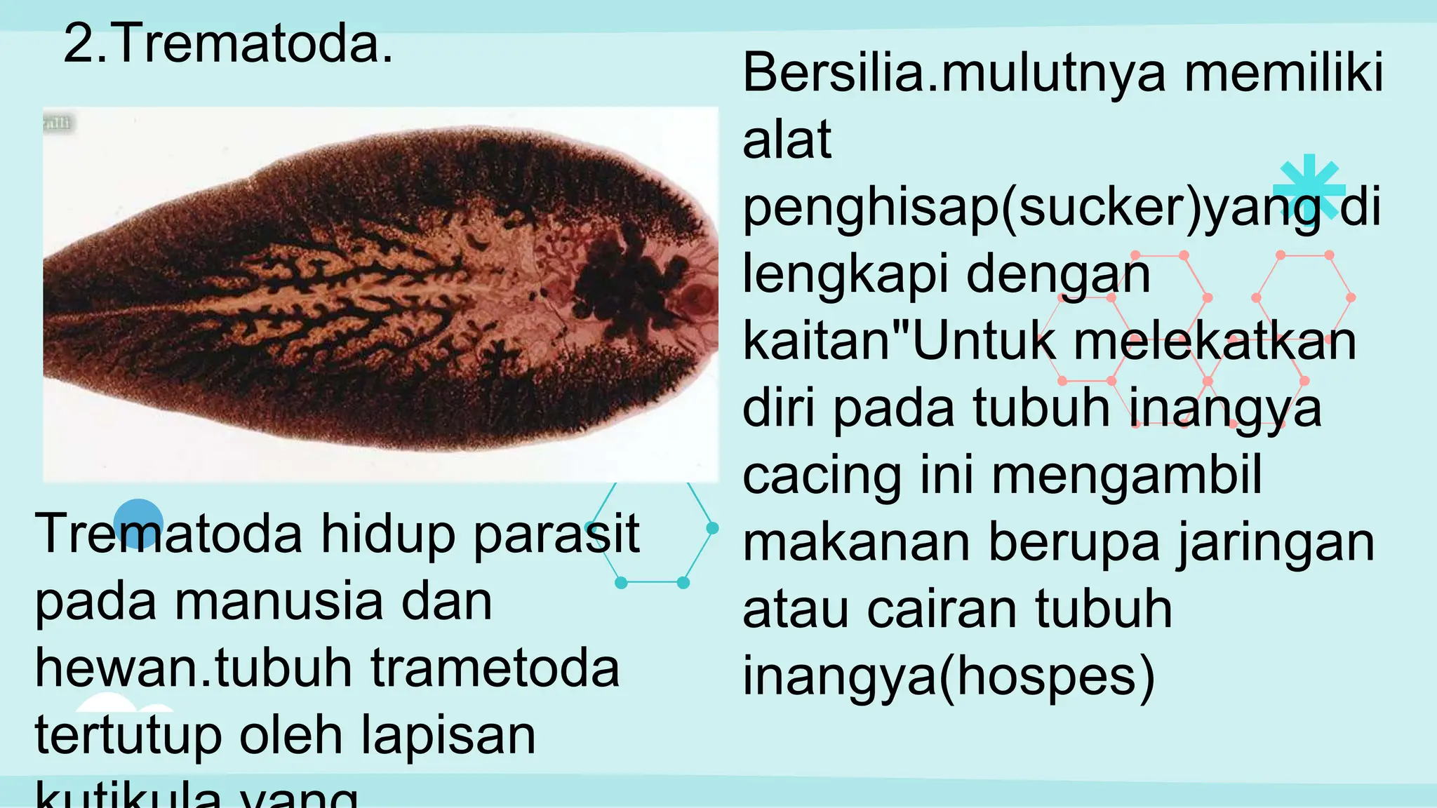 biology.pptx