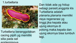 biology.pptx