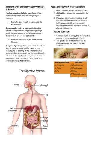 biologyyyyyyyyyyyyyyyyyyyyyyyyyyyyyyyyyyyyyyyyyyyyyyyyyyyyyyyy | DOCX ...