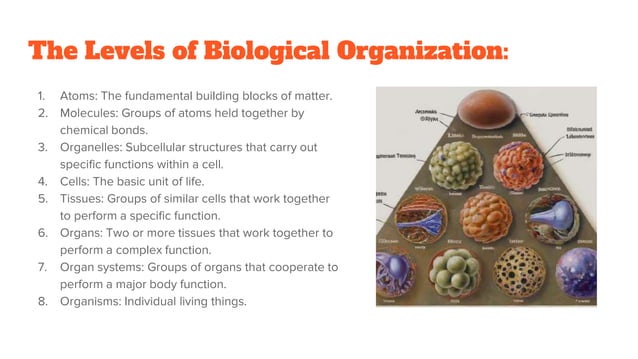 Introduction to science of Biology .pptx