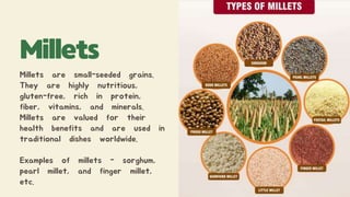 presentation on biology on this top.pptx