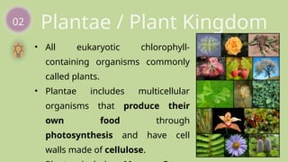 BASIC KNOWLEDGE OF BIOLOGY GRADE 6 SUBJECT | PPTX